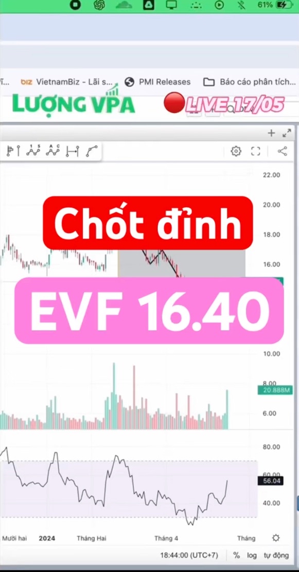 EVF - Công ty Tài chính Cổ phần Điện lực