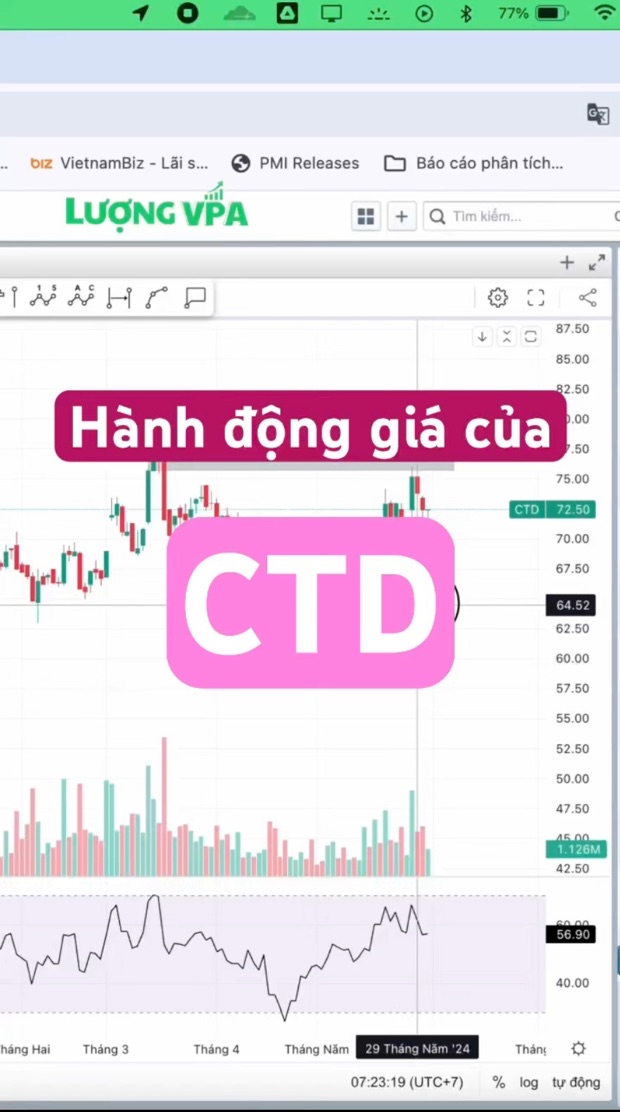 VHC - CTCP Vĩnh Hoàn