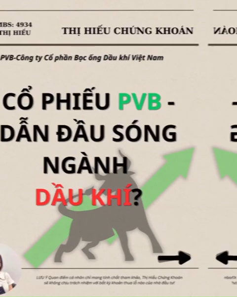 PVB - CTCP Bọc ống dầu khí Việt Nam